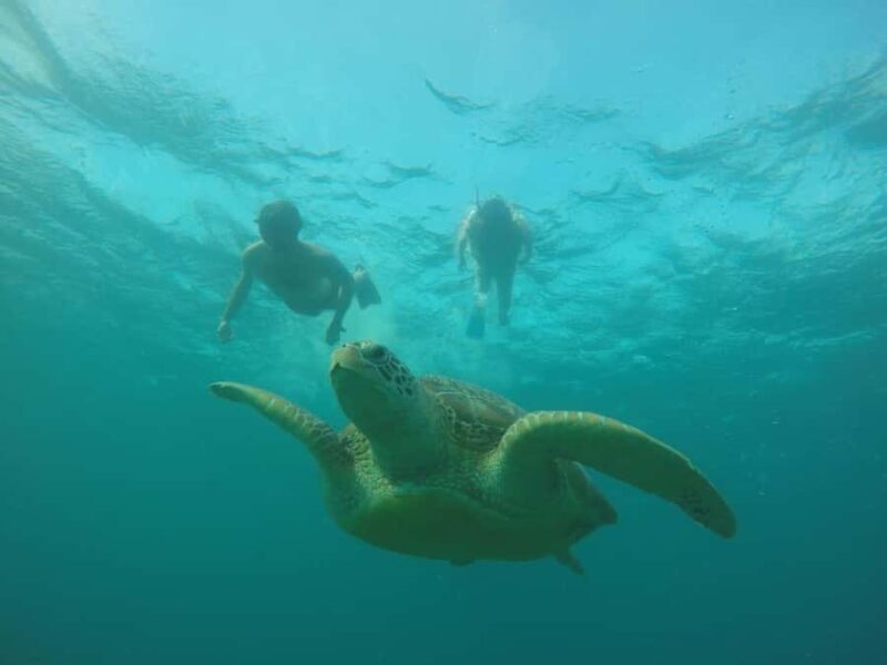 Lombok: 4-Day Sea Nomad Adventure to Labuan Bajo - Final Thoughts