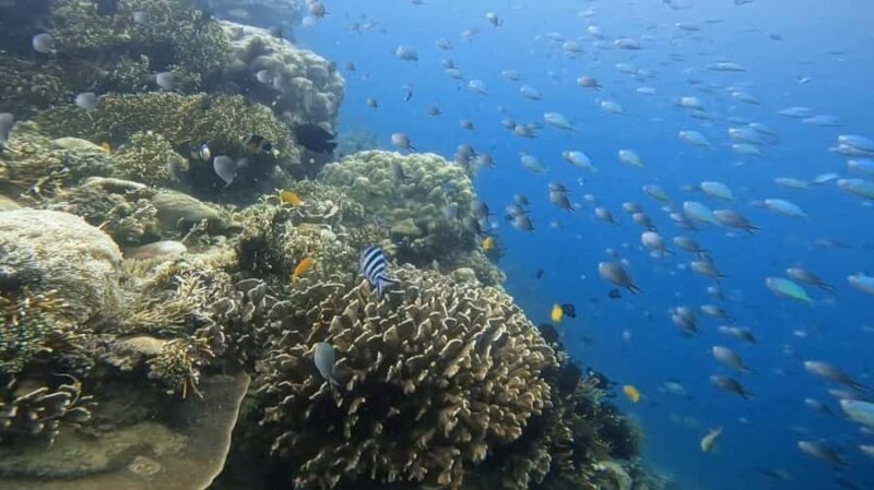 Lombok: 5 Gili Islands Snorkeling Tour With Private Boat - Key Points