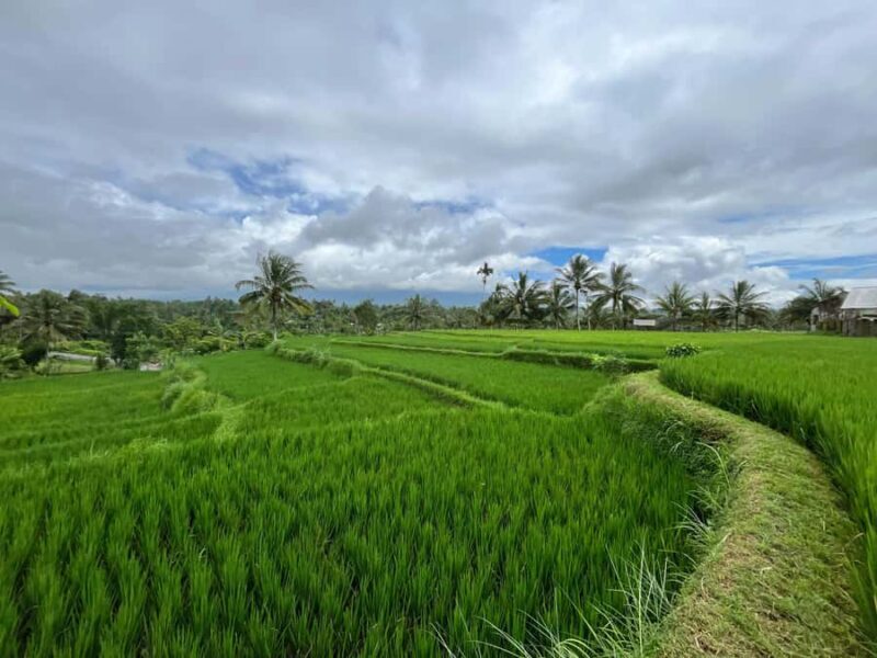 Lombok: Benang Kelambu & Stokel Waterfall, Culture & Beach - An In-Depth Look at the Tour