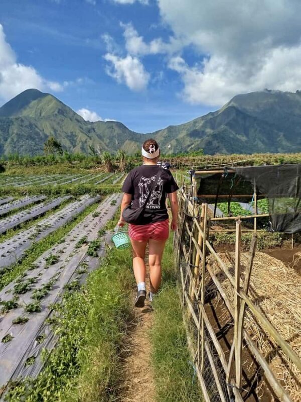 Lombok: Benang Stokel Waterfall Guided Trek with Snacks - A Practical Look at the Lombok: Benang Stokel Waterfall Guided Trek with Snacks