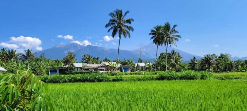 lombok : black monkey , rice terace ,waterfall tetebatu - Who Should Consider This Tour?