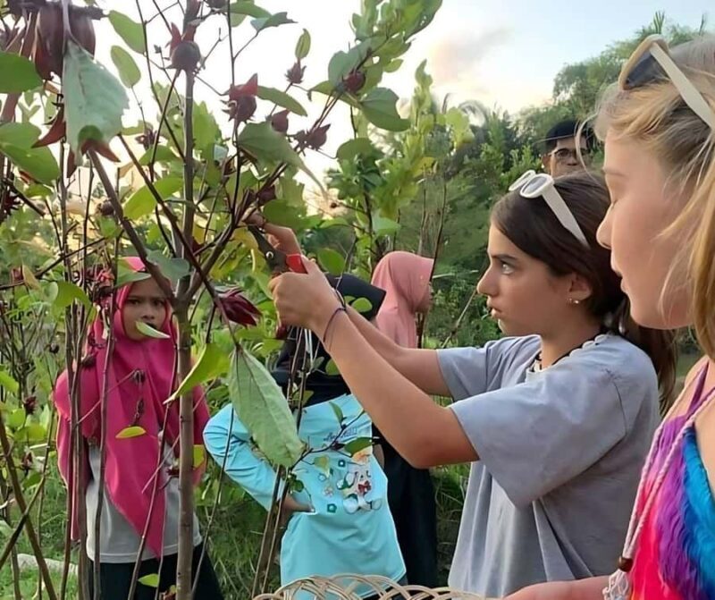 Lombok Bonjeruk Village Biking Tour + City Tour - Key Points