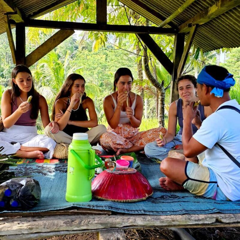 Lombok: Coffee Experience, Rice Terraces & Waterfalls Tour - The Practicalities: Transport, Timing, and Group Size