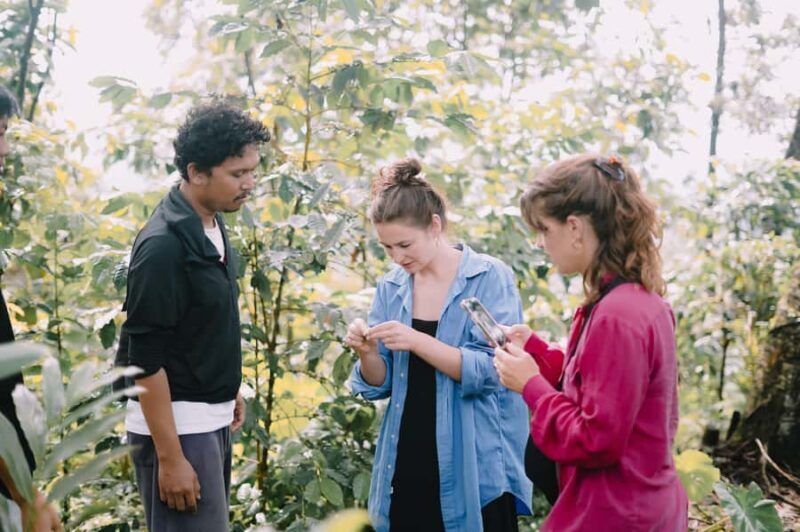 Lombok: Coffee Plantation Tour With Tasting - Introduction: Why This Coffee Tour Is Worth Your Time