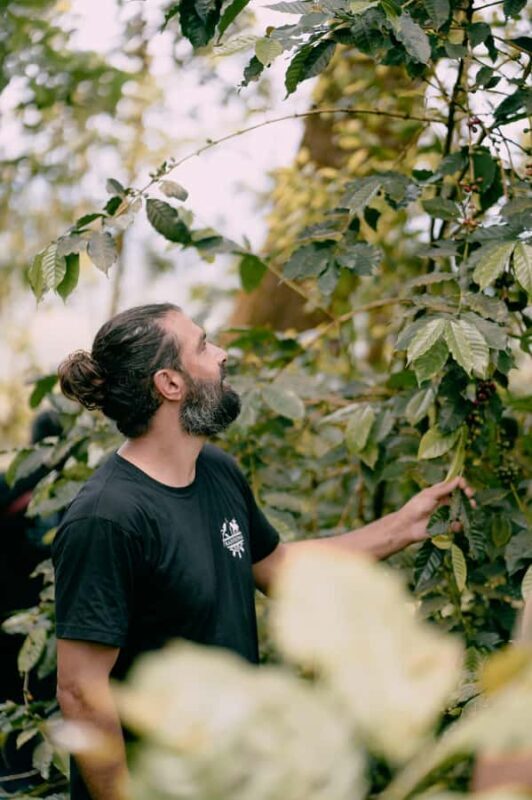 Lombok: Coffee Plantation Tour With Tasting - Practical Tips for Making the Most of This Tour