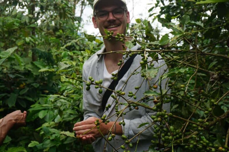 Lombok: Coffee Plantation Tour With Tasting - Who Will Love This Experience?