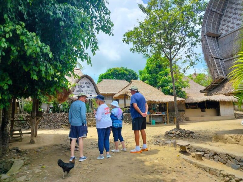 Lombok: Cultural Day Tour & Beach Pickup Cruise Port/Hotel - Final Thoughts