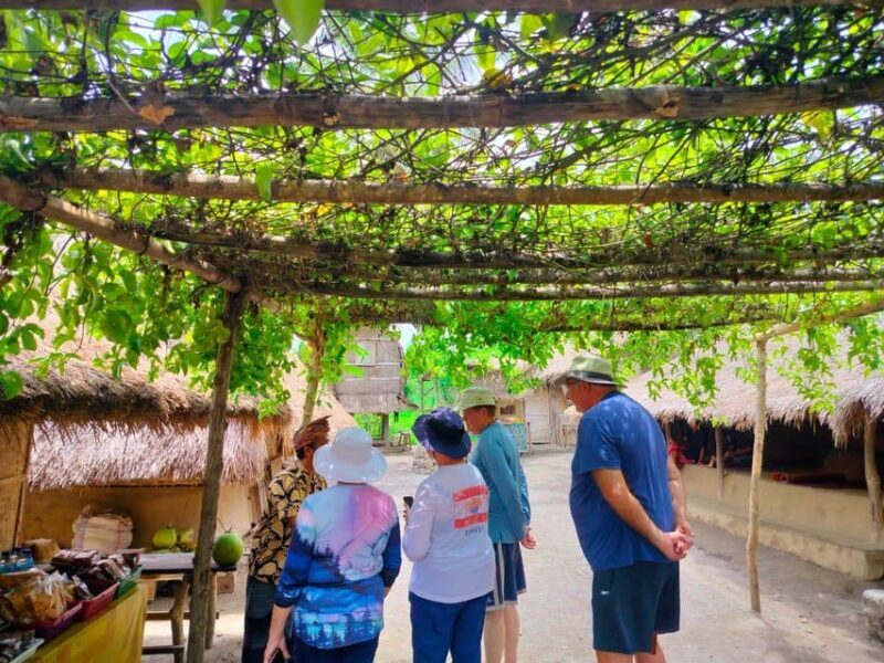 Lombok: Cultural Day Tour & Beach Pickup Cruise Port/Hotel - Who Should Consider This Tour