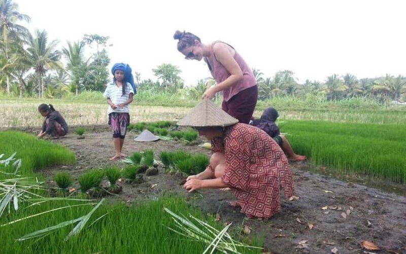 Lombok: Culture, Rice Terrace, and Waterfall Full-Day Tour - An In-Depth Look at the Experience