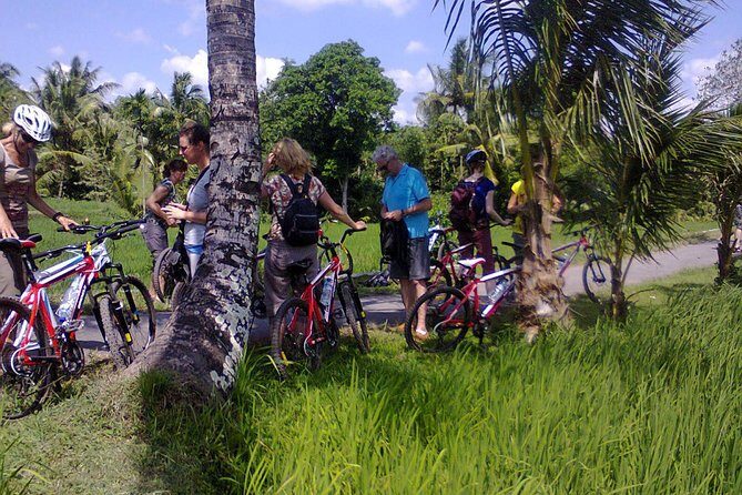 Lombok Cycling from Suranadi Hindu & Moeslim Village to Lingsar - FAQ