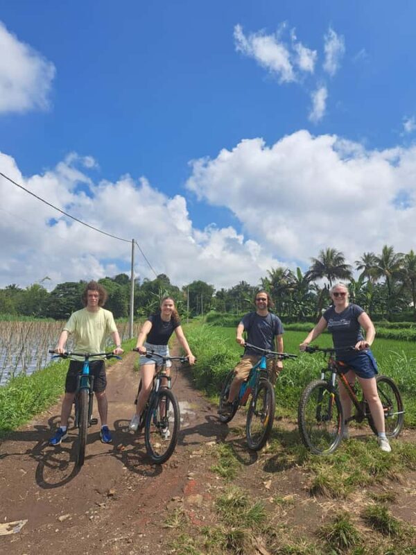 Lombok Cycling tour: Rice field, Waterfall, Monkey Forest - The Heart of the Tour: What to Expect