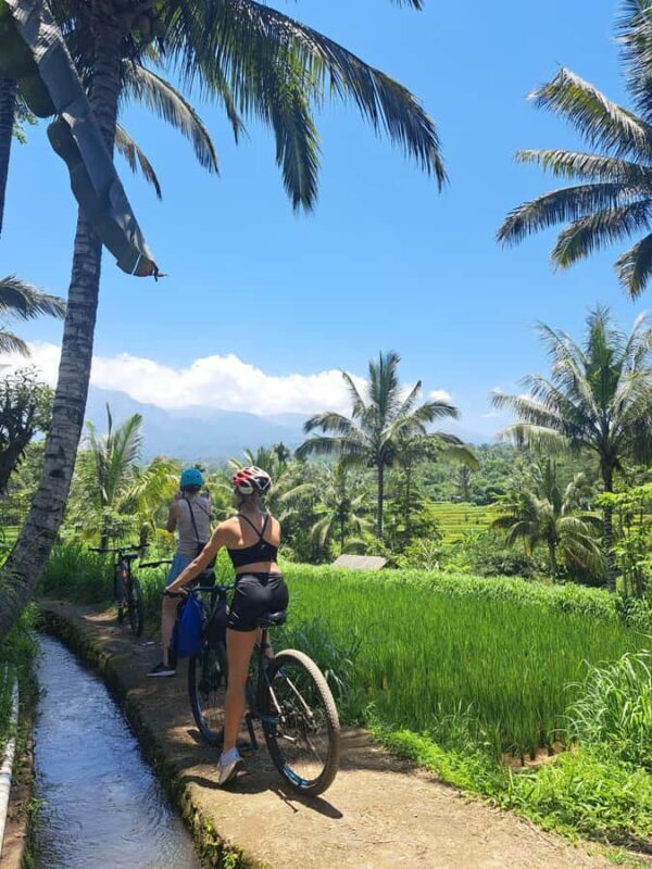 Lombok Cycling tour: Rice field, Waterfall, Monkey Forest - Authentic Experiences That Make Your Trip Special