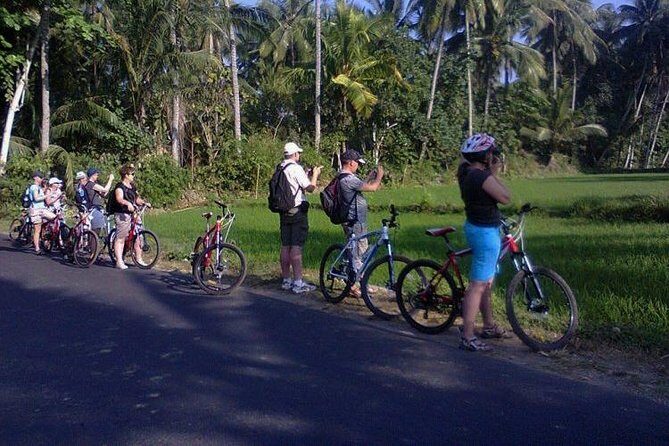 Lombok Cycling Tour: Tempos Rice Field, Hand Weaving Village & Pengsong Temple - A Closer Look at the Lombok Cycling Tour