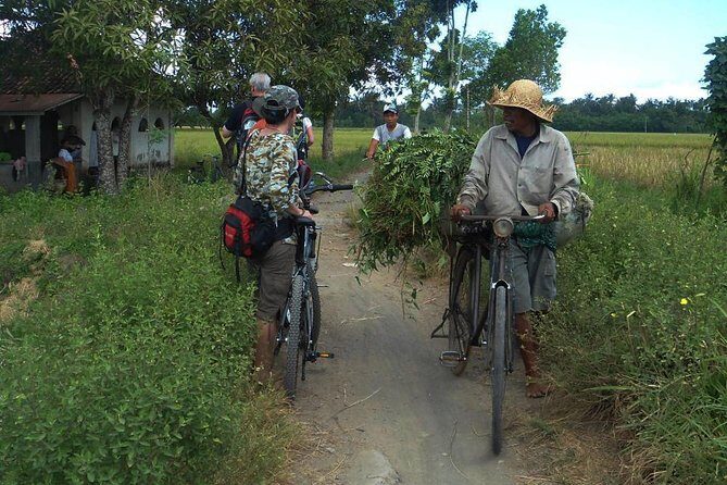Lombok Cycling Tour: Tempos Rice Field, Hand Weaving Village & Pengsong Temple - Final Word