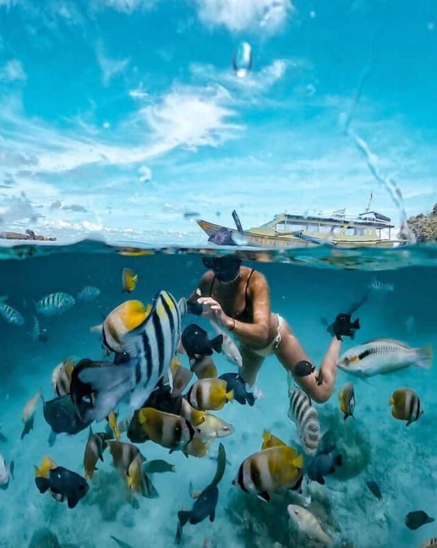 Lombok Day Tour: SukararaVillage, Pink Beach&Gili Snorkeling - Discover the Best of Lombok in a Day: Sukarara Village, Pink Beach & Gili Snorkeling