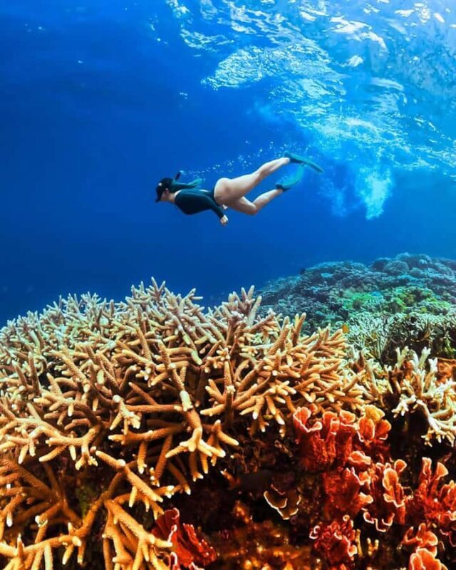 Lombok Day Tour: SukararaVillage, Pink Beach&Gili Snorkeling - Key Points