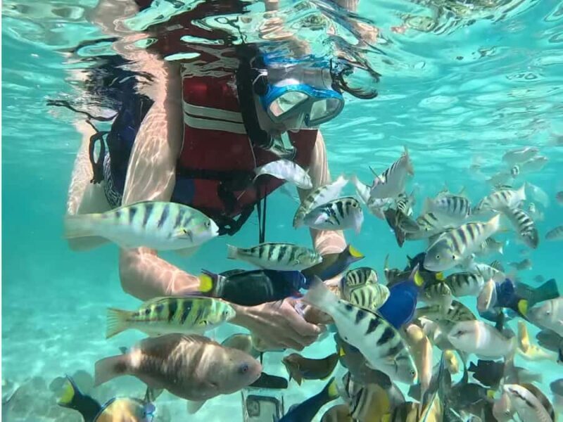 Lombok Day Tour: SukararaVillage, Pink Beach&Gili Snorkeling - FAQ