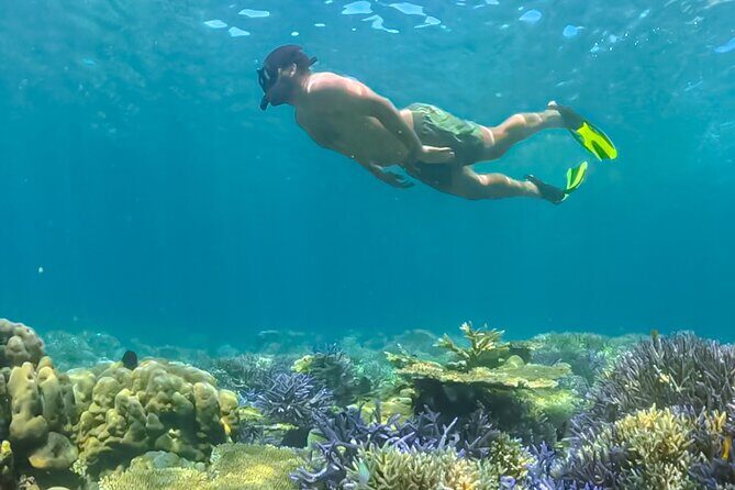 Lombok Day Trip - Privat Snorkeling Gili Nanggu,Gili Kedis,Sudak - FAQs