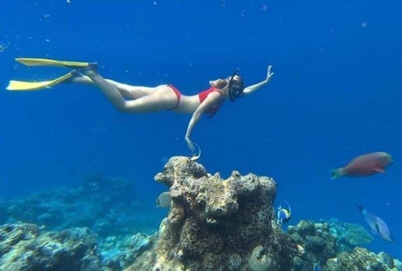 Lombok: East Gili Islands Snorkeling Tour with BBQ Lunch - Who Will Love This Tour?