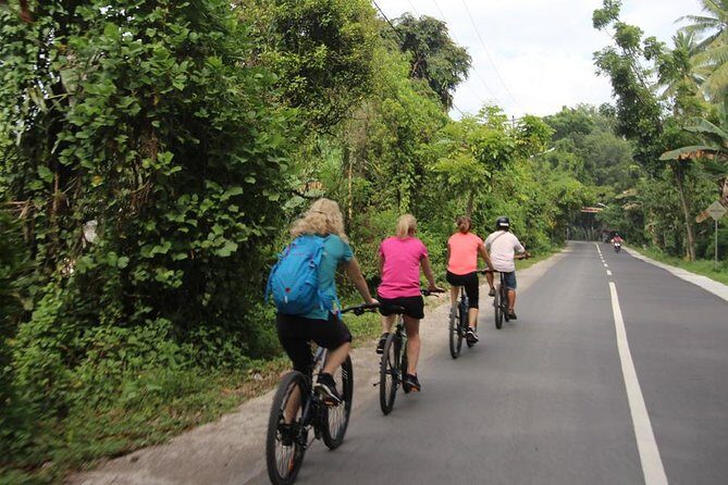 Lombok Easy Biking Tour - Authentic Experiences and What Travelers Say