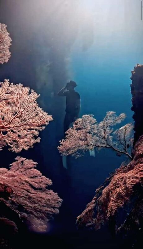 Lombok: Exclusive Snorkeling at Gili Kondo & Visit 3 Gili - Key Points