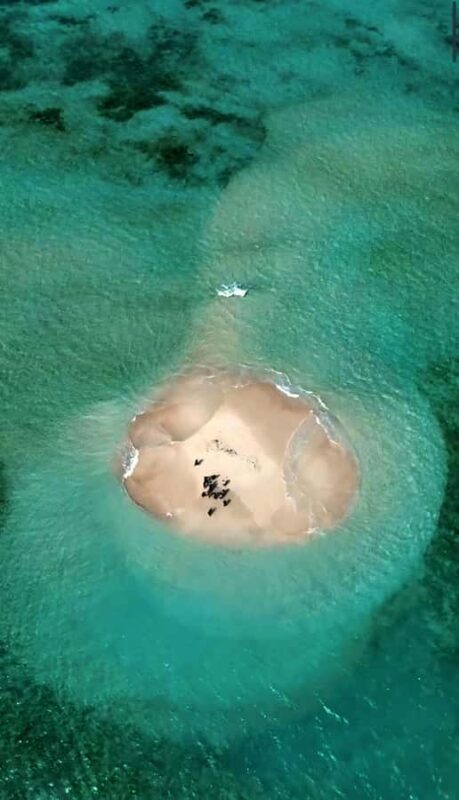 Lombok: Exclusive Snorkeling at Gili Kondo & Visit 3 Gili - The Itinerary Breakdown: What to Expect on Your Day of Island-Hopping