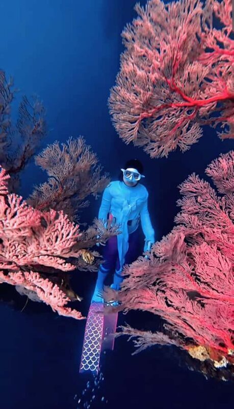 Lombok: Exclusive Snorkeling at Gili Kondo & Visit 3 Gili - The Practical Side: Logistics, Cost, and Considerations