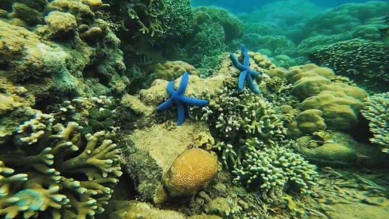 Lombok: Gili Gede, Rengit, and Layar Island Hopping Tour - Itinerary Breakdown: What Makes Each Stop Unique