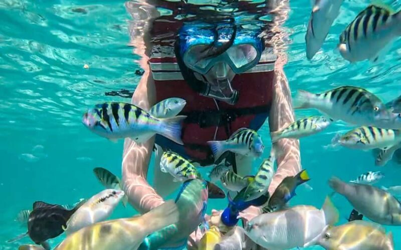 Lombok: Gili Kedis-Nanggu Underwater Mini-Island Tour - Gili Kedis: The Tiny Paradise