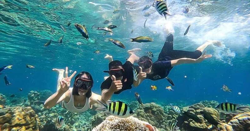 Lombok: Gili Kondo, Petagan, dan kapal Snorkeling Tour - Who Should Consider This Tour?