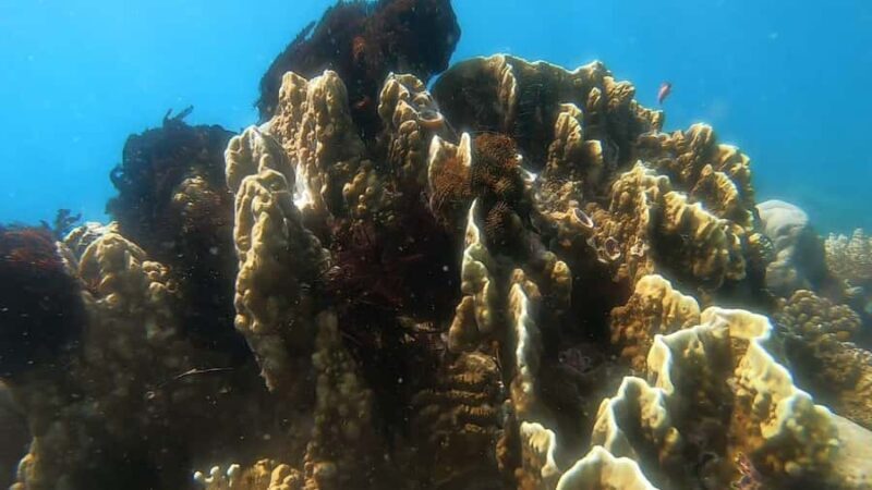 Lombok: Gili Nanggu, Kedis, and Sudak Islands Boat Tour - FAQ