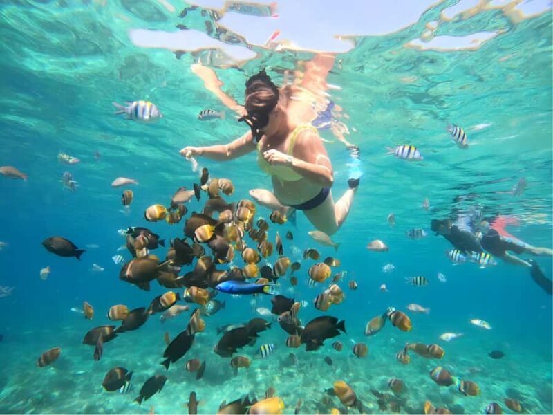 Lombok: Gili Nanggu, Sudak and Kedis Private Snorkeling Tour - Authentic Encounters and Tips from Real Travelers
