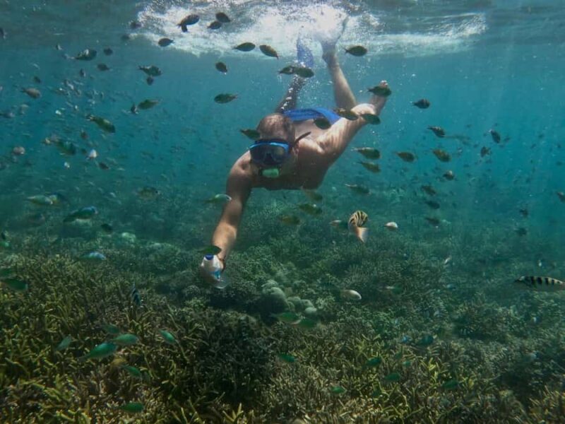 Lombok: Gili Nanggu Sudak and Kedis Snorkeling Tour - End of the day: Return with memories and photos