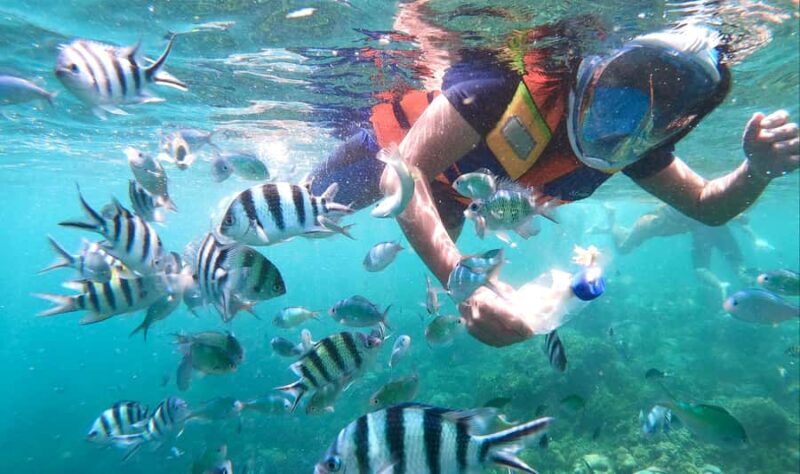 Lombok: Gili Nanggu, Sudak, & Gili Kedis Private Snorkeling - An Introduction to the Tour