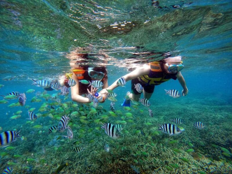 Lombok: Gili Nanggu, Sudak, & Gili Kedis Private Snorkeling - Why This Tour Stands Out