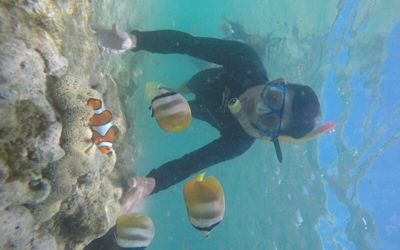 Lombok: Gili Nanggu, Tangkong, Sudak, and Kedis Islands Tour - In summary, this tour is ideal for adventurous travelers who cherish authentic experiences, good value, and a well-organized day exploring Lombok’s southern waters. It’s a lovely way to combine leisure, adventure, and cultural tastes in one memorable outing.