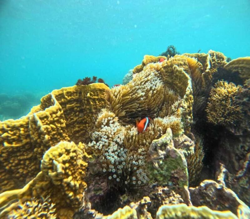 Lombok: Gili Rengit, Gili Gede, and Gili Layar Island Tour - Key Points