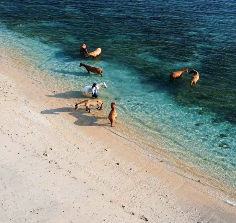 Lombok : Gili Snorkeling Trip (Goleng, Asahan, Layar) - Practical Details and Value