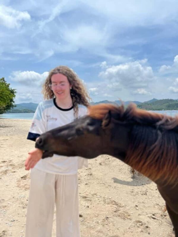 Lombok : Gili Snorkeling Trip (Goleng, Asahan, Layar) - FAQ