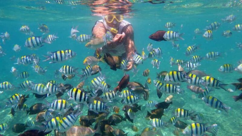 Lombok: Gili Trawangan, Meno, Air Snorkeling Trip - Key Points