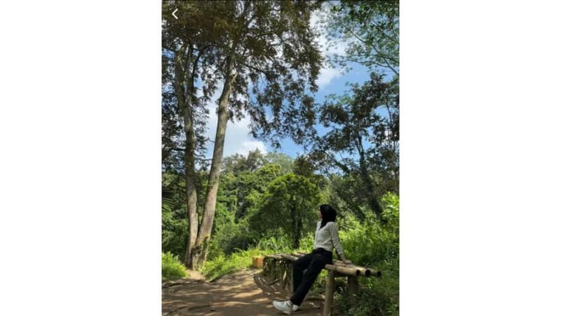 Lombok: Gosh Villa Viewpoint & Benang Stokel Waterfall Tour - Key Points