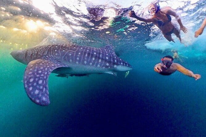 Lombok Guided Snorkeling Tour in Gili Kondo, Bidara and Kapal - The Sum Up