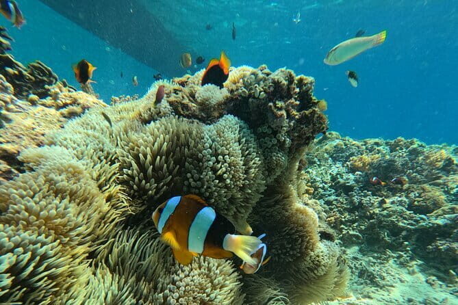 Lombok Half-Day Traditional Herbal Drink Workshop (Jamu Class) - Who Will Love This Tour?
