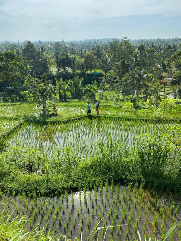 Lombok Hidden Gem - Authenticity & What Travelers Say