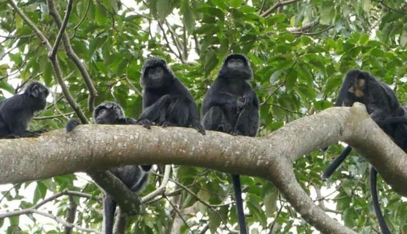 Lombok: Hiking Tour to Tete Batu Village - A Detailed Look at the Tete Batu Hiking Experience