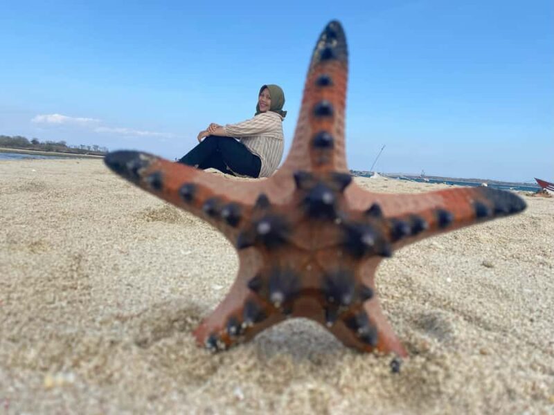 Lombok: Pink Beach Adventure and 3 Gilis - Who Will Enjoy This Tour?