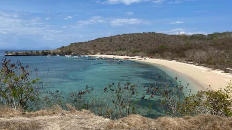 Lombok: Pink Beach and Snorkeling Trip With Lunch - Analyzing the Experience: What You Can Expect