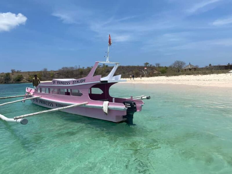 Lombok: Pink Beach and Snorkeling Trip With Lunch - Who Is This Tour Best For?