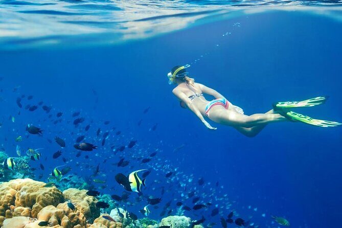 Lombok Pink Beach Boat Trip (Full Day + Snorkeling) - Final words