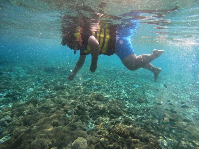 Lombok Pink Beach Boat Trip : Snorkeling & Relaxing - Authentic Experiences & Authenticity